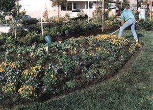 Mid-Isle Custom Curb