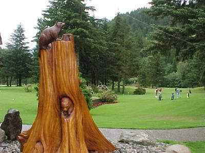 Photos of Development Property in Hope BC